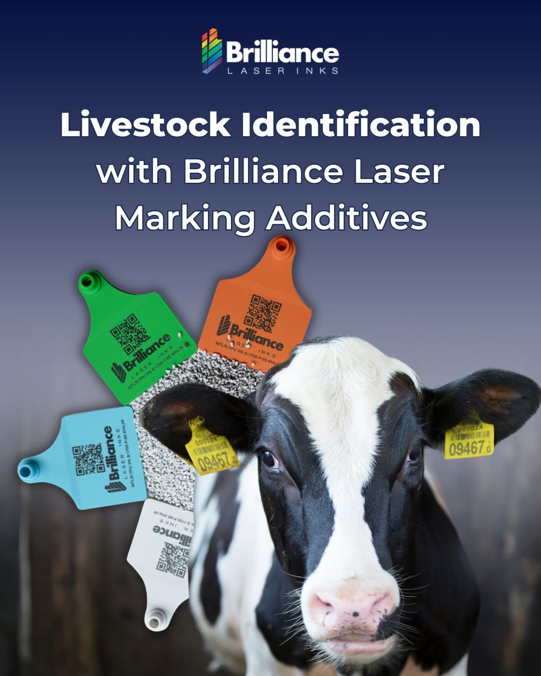 Animal Identification Marking Solutions | Brilliance Laser Inks